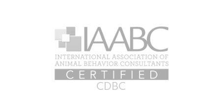 About - Emily Scott | Certified Canine Behavior Specialist